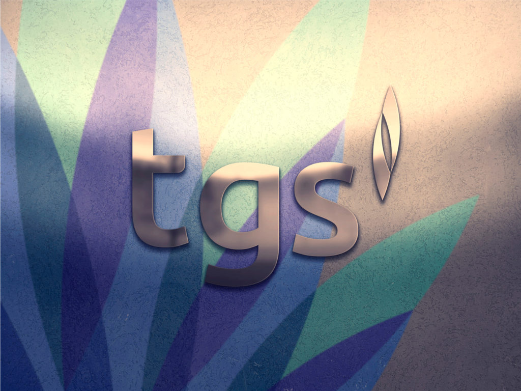 TGS | Argentina - FileniFileniDesign